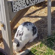 TABORA FARM AND ORCHARD - 121 Photos & 115 Reviews - 1104 Upper Stump ...