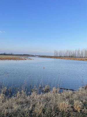 POINTE MOUILLEE STATE GAME AREA - Updated October 2025 - 37205 Mouillee ...