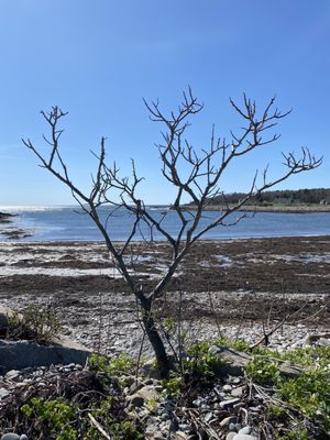 TIMBER POINT TRAIL - Updated July 2025 - 30 Photos - 1 Timber Point Rd ...