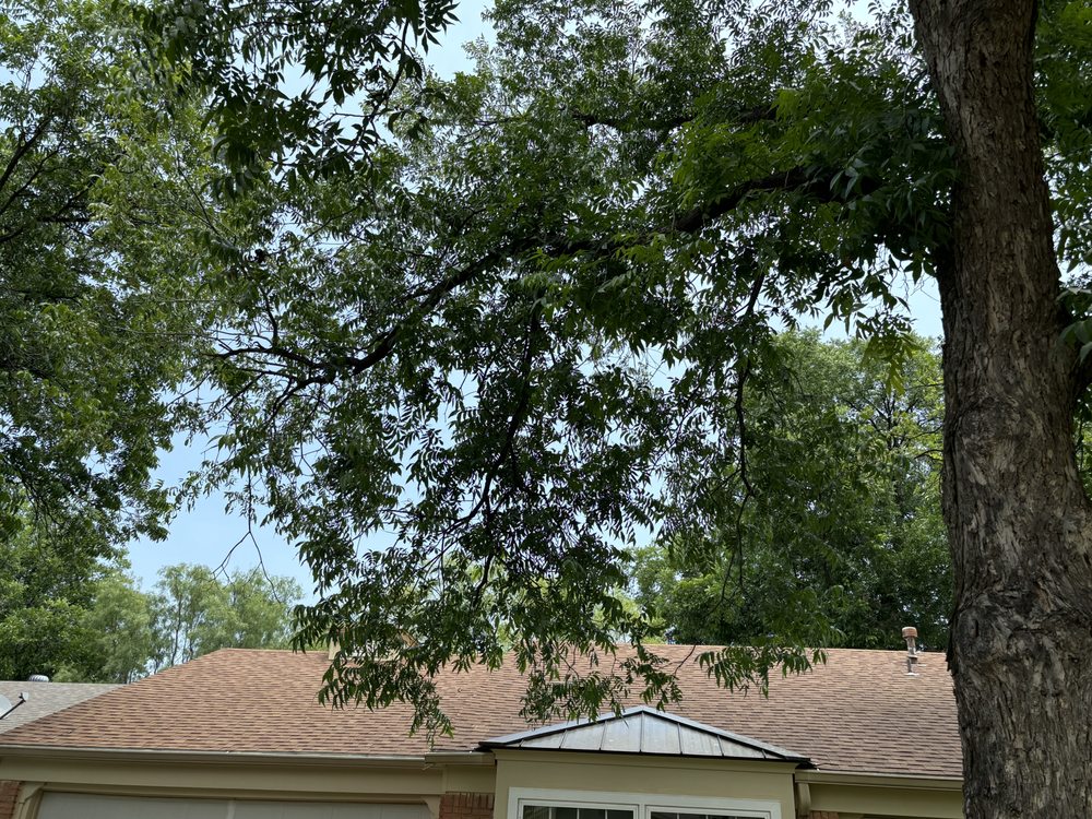 DYER TREE SERVICE - Updated April 2025 - Request a Quote - 13 Photos ...