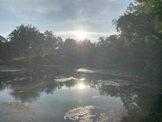 MAGNOLIA SPRINGS STATE PARK - Updated May 2026 - 55 Photos & 12 Reviews ...
