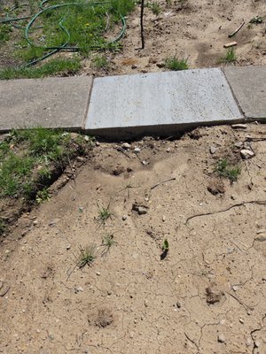 Apollo Home Updated March 2026 59 Photos 208 Reviews 4538