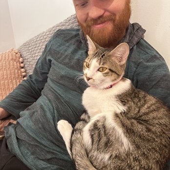 DON’T STRESS MEOWT - CAT CAFE - Updated July 2025 - 280 Photos & 32 ...