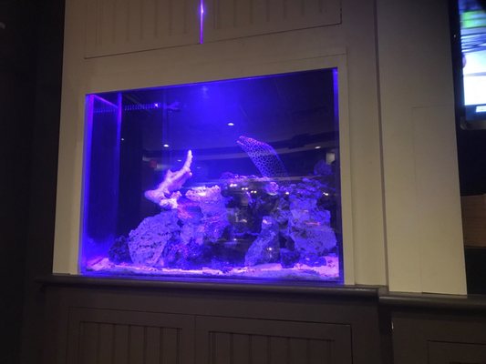 BRICKSIDE GRILLE - 53 Photos & 186 Reviews - American (New) - 540 ...