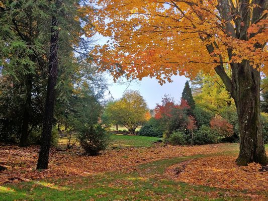 GOODELL GARDENS & HOMESTEAD - Updated December 2025 - 221 Waterford St ...