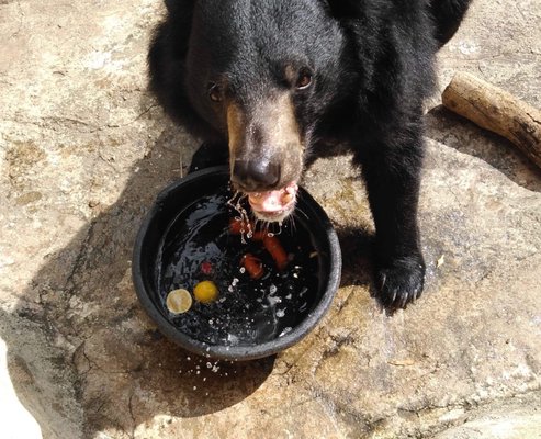 JACKSON ZOOLOGICAL PARK - Updated June 2024 - 92 Photos & 25 Reviews ...