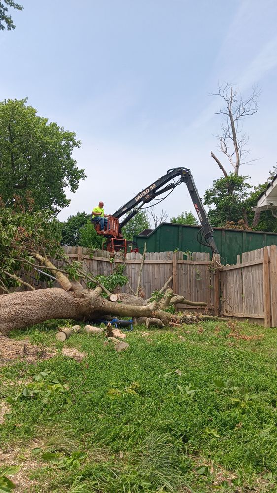 TOP KNOTCH TREE CARE - Request a Quote - Columbus, Ohio - Tree Services ...