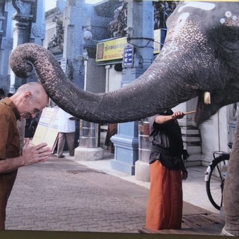 LOTUS CAFE & JUICE BAR - Updated June 2024 - 749 Photos & 948 Reviews ...