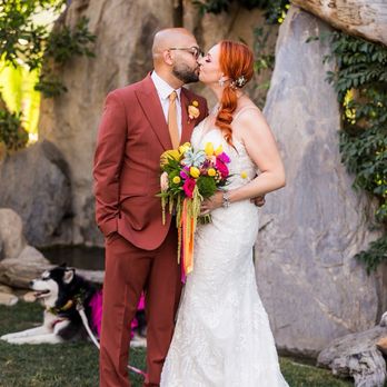 DANTELLA BRIDAL & TAILORING - Updated August 2024 - 552 Photos & 368 ...