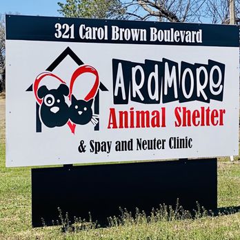 ARDMORE ANIMAL HOSPITAL - Updated January 2026 - 10 Reviews - 24 E ...