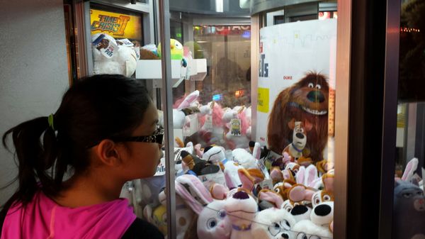 TILT 259 FAMILY ENTERTAINMENT - Updated May 2026 - 13 Photos - 3017 S ...