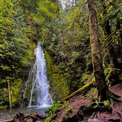 Best Day Trips Near Me - April 2025: Find Nearby Day Trips Reviews - Yelp