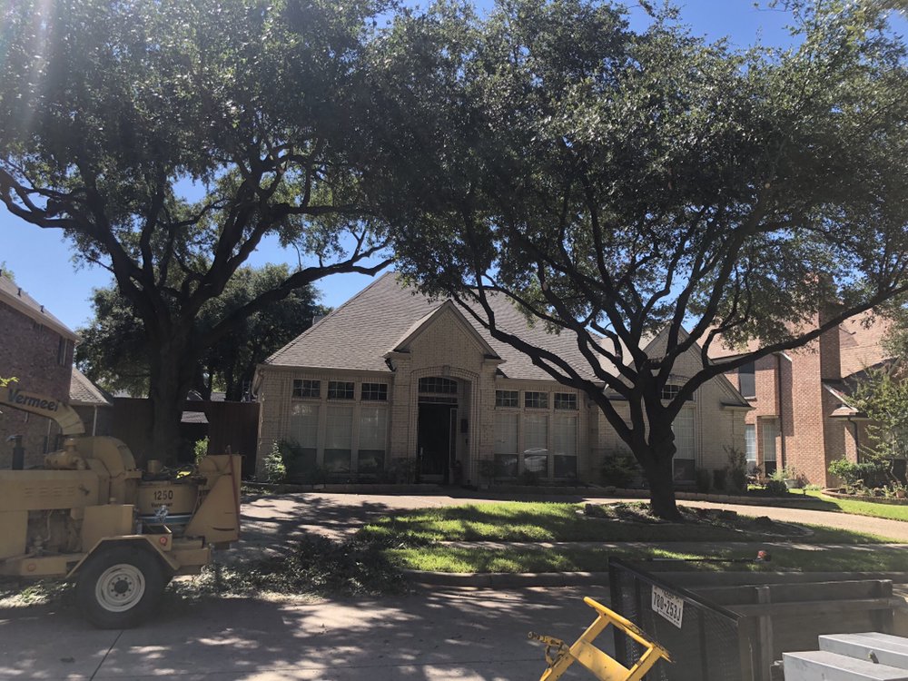 CARLITOS TREE AND LAND SERVICE - Updated July 2025 - Carrollton, Texas ...