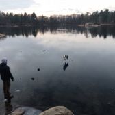 Breakheart Reservation - 136 Photos & 78 Reviews - Parks - 177 Forest ...