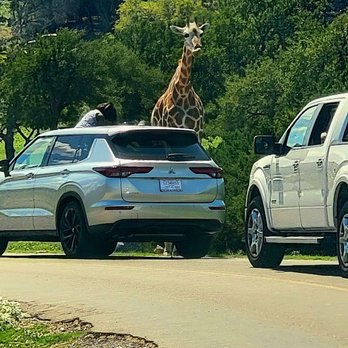 FOSSIL RIM WILDLIFE CENTER - 1170 Photos & 341 Reviews - 2299 County Rd ...