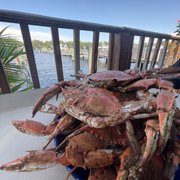 MIKE’S BAR & CRAB HOUSE - 958 Photos & 971 Reviews - 3030 Riva Rd, Riva ...