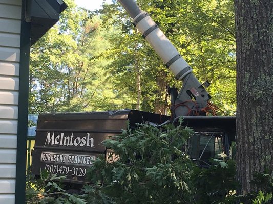 MCINTOSH FORESTRY SERVICES - Updated December 2025 - 23 Victory Ln ...
