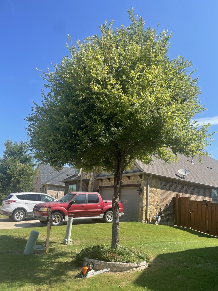 RIOS LANDSCAPING - Updated July 2025 - Request a Quote - Dallas, Texas ...