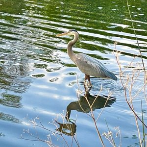 SUSON PARK - Updated December 2024 - 149 Photos & 40 Reviews - 6059 ...