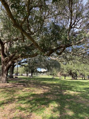 AL COITH PARK - 28 Photos - 901 Delaney Ave, Orlando, Florida - Parks ...