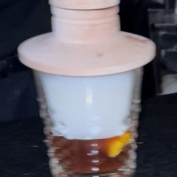 M BEVY - Updated May 2025 - 17 Photos & 20 Reviews - 87 West St ...