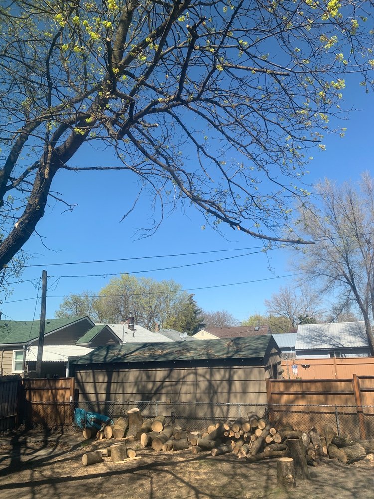 ASPLUNDH TREE EXPERT - 1411 E Mission Ave, spokane, Washington - Tree ...