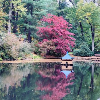 WICKHAM PARK - Updated May 2024 - 438 Photos & 49 Reviews - 1329 W ...