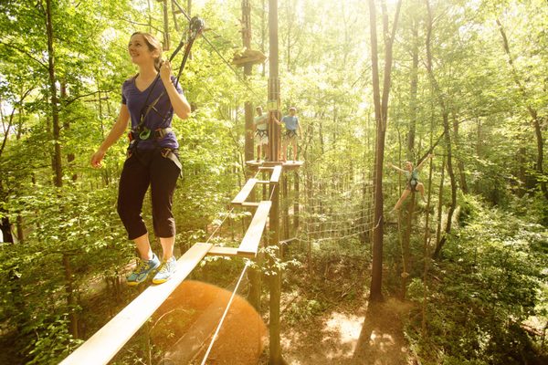GO APE - Updated March 2024 - 32 Photos & 40 Reviews - 3200 Pleasant ...