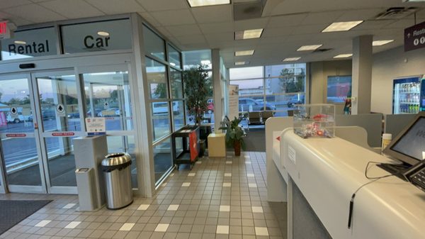 AVIS RENT A CAR - Updated May 2024 - 47 Photos & 247 Reviews - 10482 ...