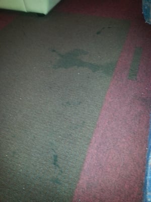 COPEN STEPHEN, MD - CEDARS-SINAI - Updated October 2025 - 28 Reviews ...