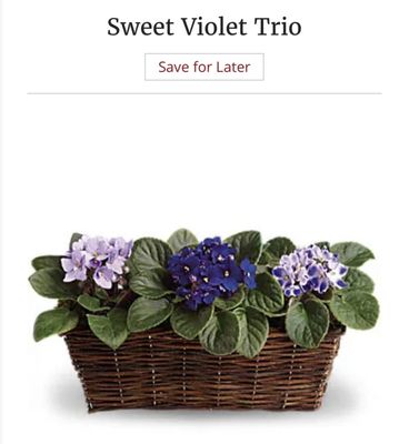 SAM RAO FLORIST - Updated October 2025 - 21 Reviews - 104 Myron ...