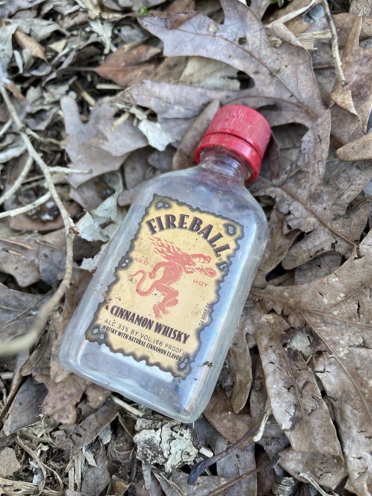 THE DEVIL’S TREE - Updated December 2025 - Mountain Rd, Basking Ridge ...