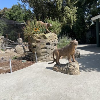 ORANGE COUNTY ZOO - Updated August 2024 - 1349 Photos & 377 Reviews - 1 ...