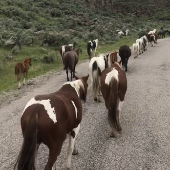 SILVER SPUR RANCH IDAHO - Updated October 2025 - 18 Photos - 2385 ...