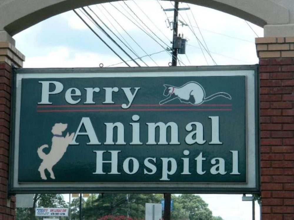 PERRY ANIMAL HOSPITAL - Updated April 2026 - 10 Photos - 633 General ...
