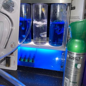 BREATHE OXYGEN BAR - 54 Photos & 66 Reviews - Oxygen Bars - 3377 S Las ...