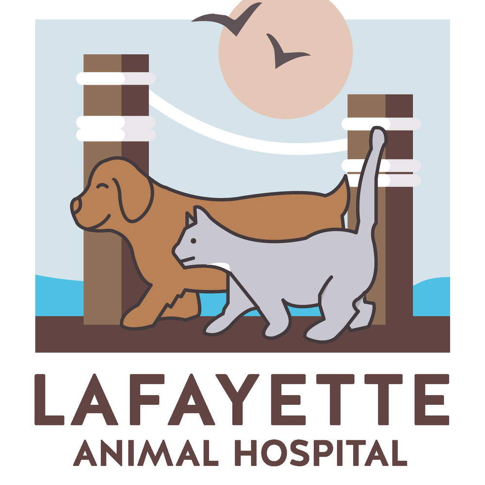 LAFAYETTE ANIMAL HOSPITAL - Updated December 2025 - 29 Reviews - 2222 ...