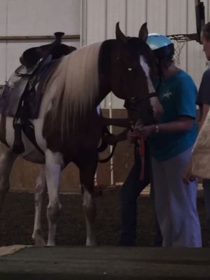 JACK PINE STABLES - Updated December 2024 - 12 Photos - 23940 291st Ave ...