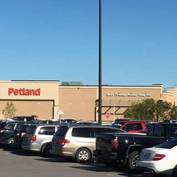 PETLAND Updated February 2025 Request an Appointment 100A 2355 McGillivray Boulevard Winnipeg Manitoba Pet Stores Phone Number Yelp