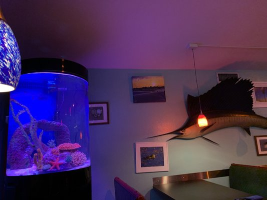 ANGRY MARLIN RESTAURANT & COOLWATER BAR - Updated September 2025 - 147 ...