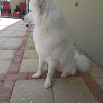 STEVENS ANIMAL HOSPITAL - Updated December 2025 - 35 Photos & 64 ...