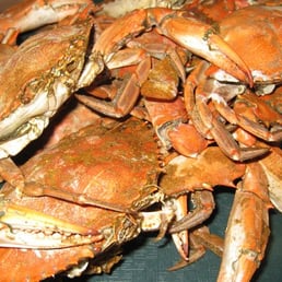 BACKFINS CRAB HOUSE - Updated July 2025 - 229 Photos & 322 Reviews ...