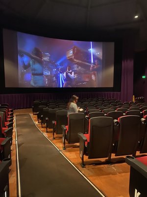 CINEDOME 12 - Updated December 2025 - 111 Photos & 181 Reviews - 851 S ...