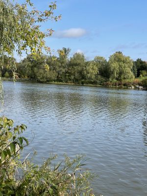 TOOGOOD POND Markham, ON - Updated November 2024 - 144 Photos & 39 ...