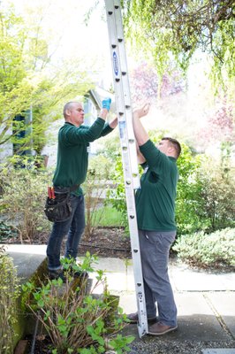 PARKER ECO PEST CONTROL - Updated December 2025 - 87 Photos & 212 ...