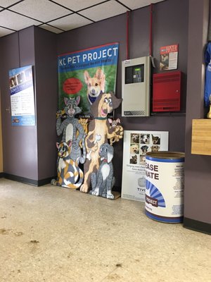 KC PET PROJECT - 39 Photos & 47 Reviews - 7077 Elmwood Ave, Kansas City ...