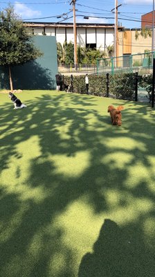WEST HOLLYWOOD PARK - 91 Photos & 69 Reviews - Dog Parks - 647 N San ...