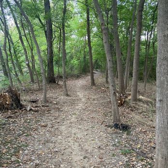 WATERLOO PARK - Updated December 2025 - 24 Photos - 1000 Waterloo Lake ...