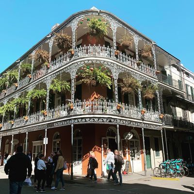 THE VOODOO BONE LADY TOURS - 190 Photos & 384 Reviews - 201 St Charles ...