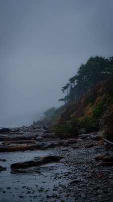 TREE OF LIFE - Updated November 2024 - 49 Photos & 18 Reviews - 101 Old ...